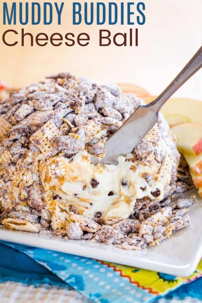 Muddy Buddies Chocolate Chip Cheese Ball - Cupcakes & Kale Chips